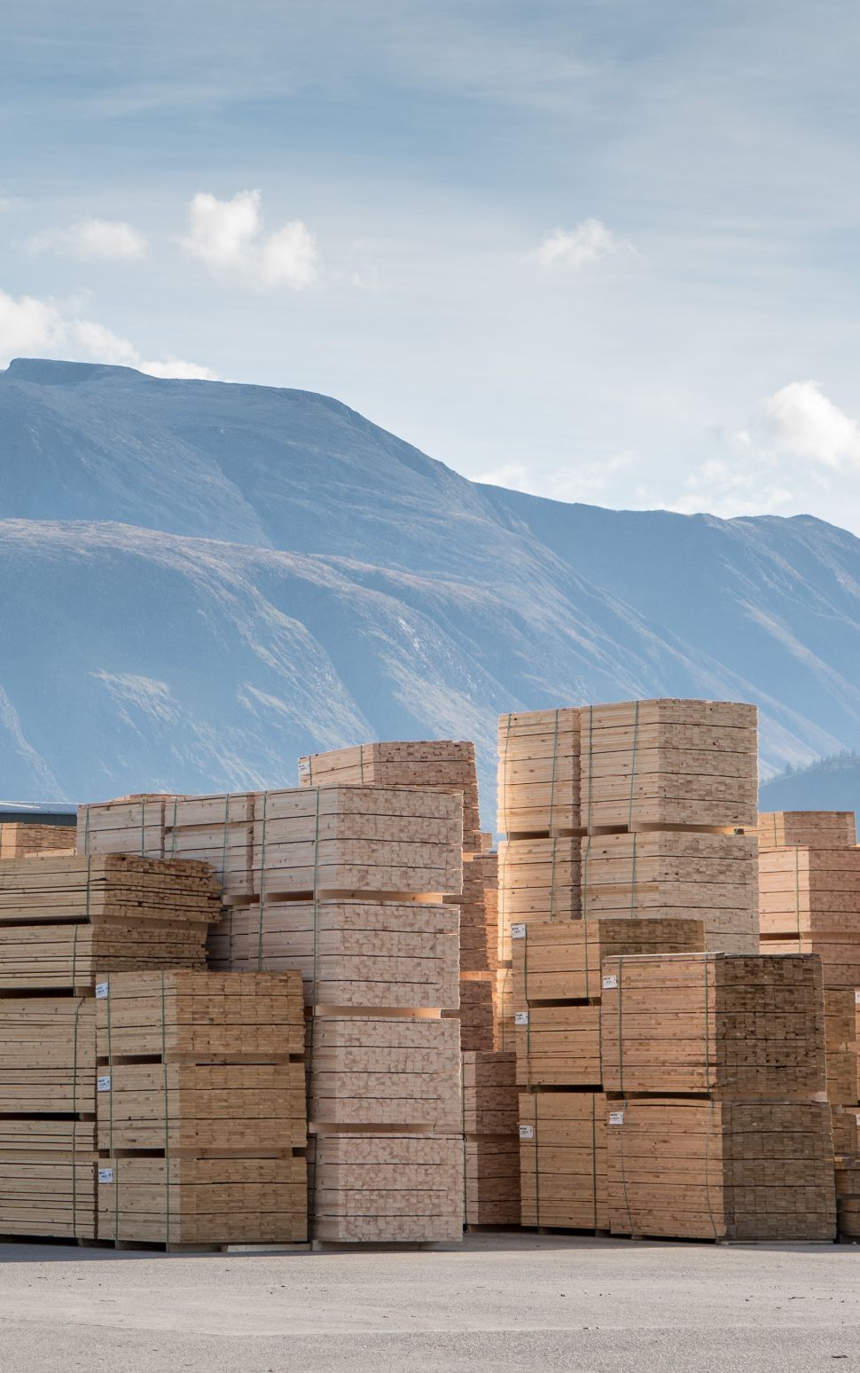 Dependable Composite Decking & Fencing Specialists | BSW Composites ...